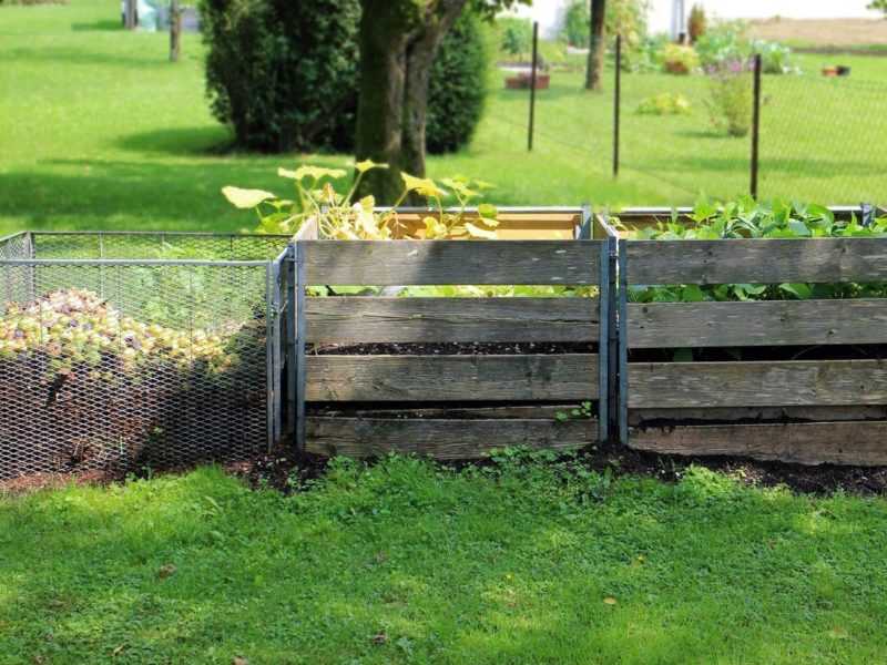 L'antica tecnica del compostaggio | Bricoliamo